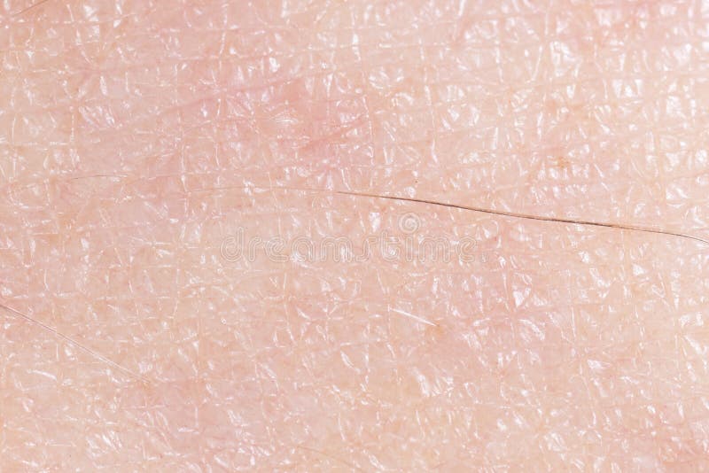 Human Skin As an Abstract Background Stock Image - Image of complexion ...