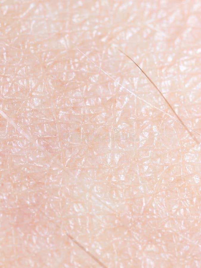 Human Skin As an Abstract Background Stock Image - Image of close ...