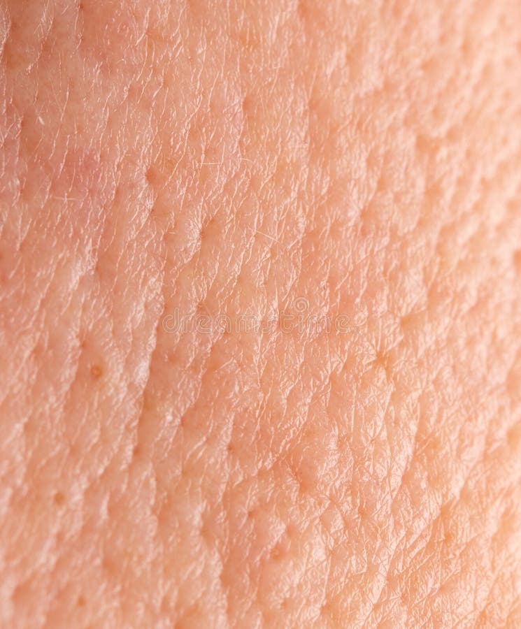 Human Skin As an Abstract Background. Texture Stock Photo - Image of ...