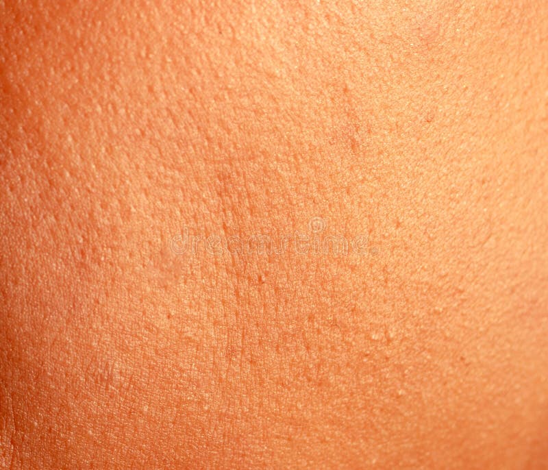 Human Skin As an Abstract Background. Texture Stock Image - Image of ...