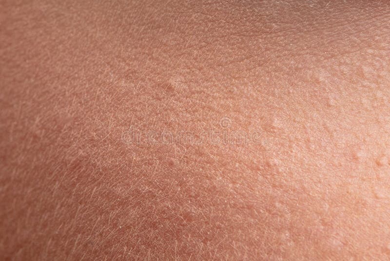 Human Skin As an Abstract Background. Texture Stock Image - Image of ...