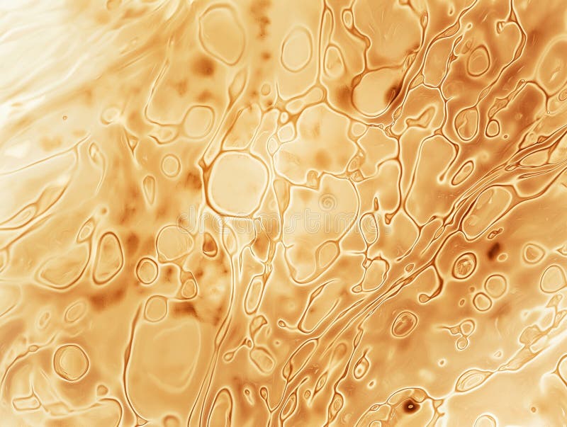 Human Skin Cells Under a Microscope Stock Image - Image of pattern ...
