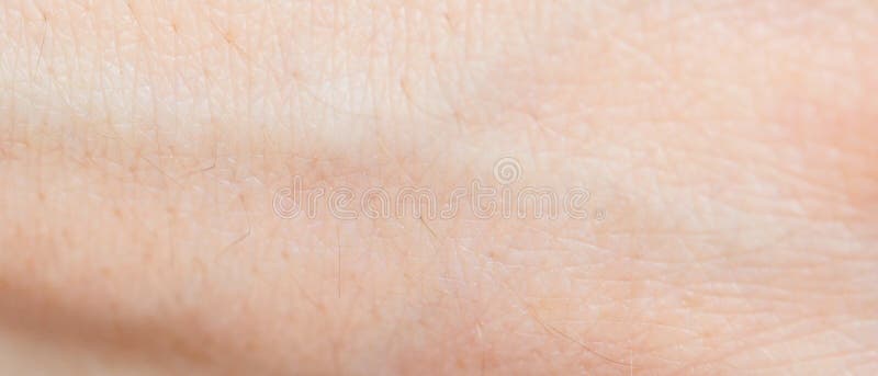 Human skin stock image. Image of macro, organ, cellular - 30738963