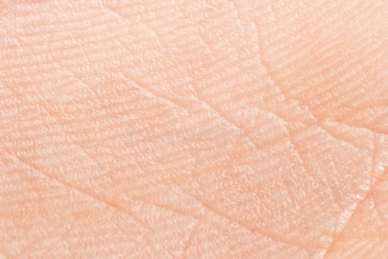 Human skin stock photo. Image of dappled, detail, care - 36495680