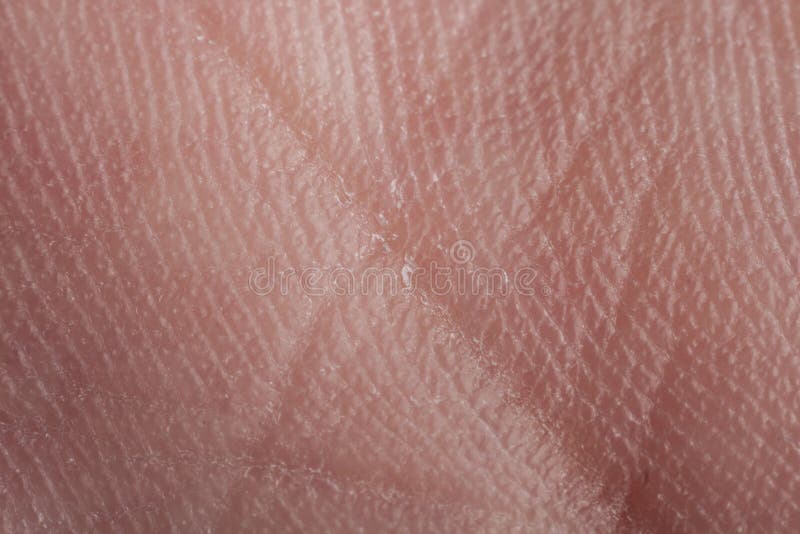 Human skin stock image. Image of fingerprints, lines - 76587073