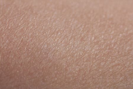Human Skin Forearm stock image. Image of pink, health - 19267499