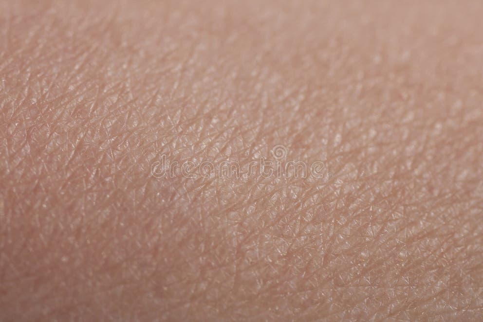 Human Skin Forearm stock image. Image of pink, health - 19267499