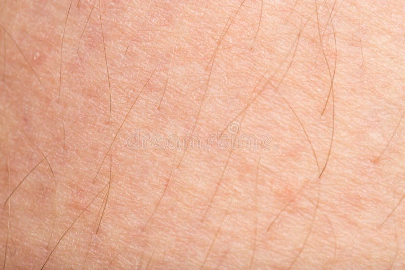 Human skin. macro stock photo. Image of macro, closeup - 100860564