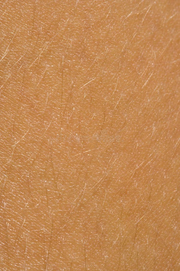 Human skin pattern stock photo. Image of textured, spotted - 3243894