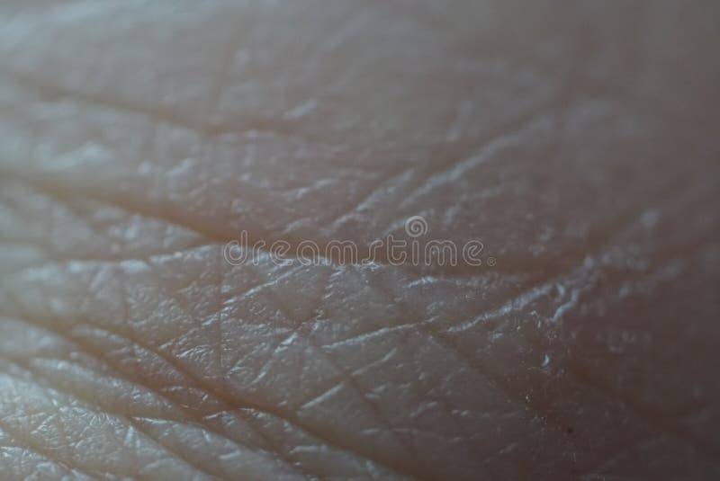 Human Skin Super Macro Texture Object Background Stock Photo - Image of ...