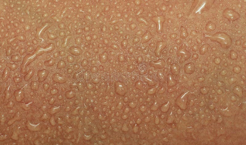 Human Skin and Sweat stock image. Image of detail, shower - 77230829