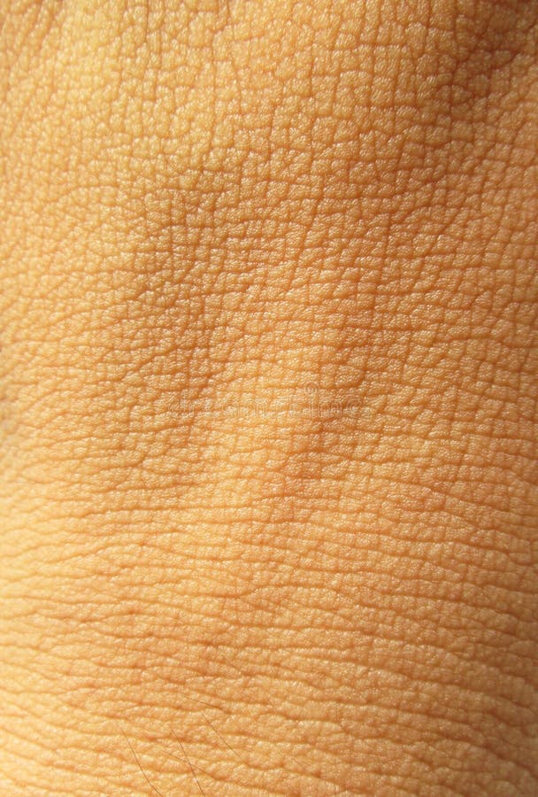 10,415 Human Skin Texture Stock Photos - Free & Royalty-Free Stock ...