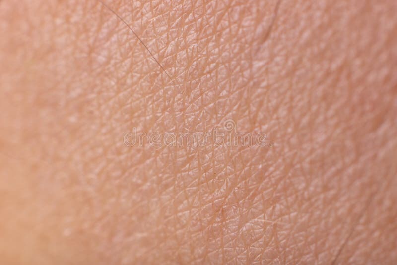 Human skin texture stock image. Image of pores, epidermis - 205890709