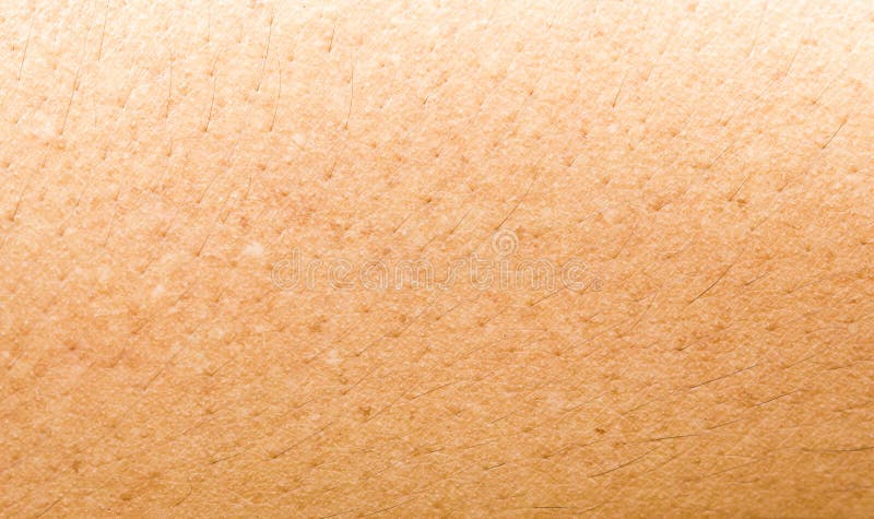 Human skin texture stock photo. Image of yellow, medicine - 55470872