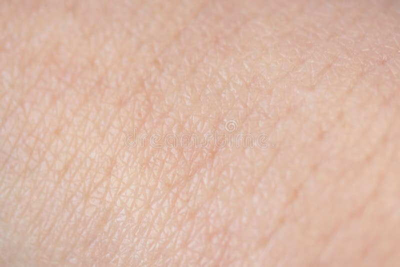 Macro Human Skin Texture, Close Up Backdrop Stock Image - Image of ...