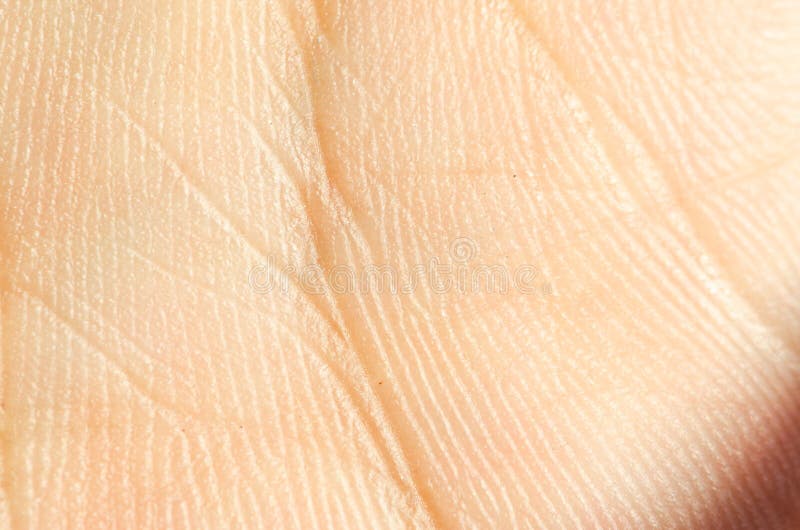 Human Skin Texture,macro View. Stock Photo - Image of dark, complexion ...