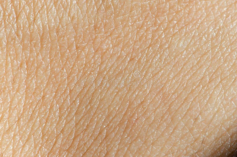 Human Skin Texture,macro View. Stock Image - Image of hand, detail ...
