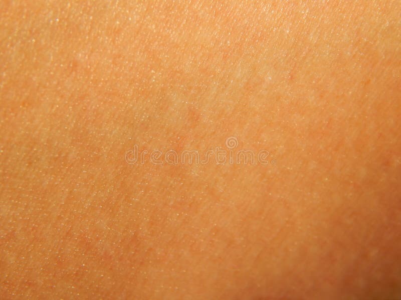 Human Skin Texture in Various Parts Stock Image - Image of abstract ...