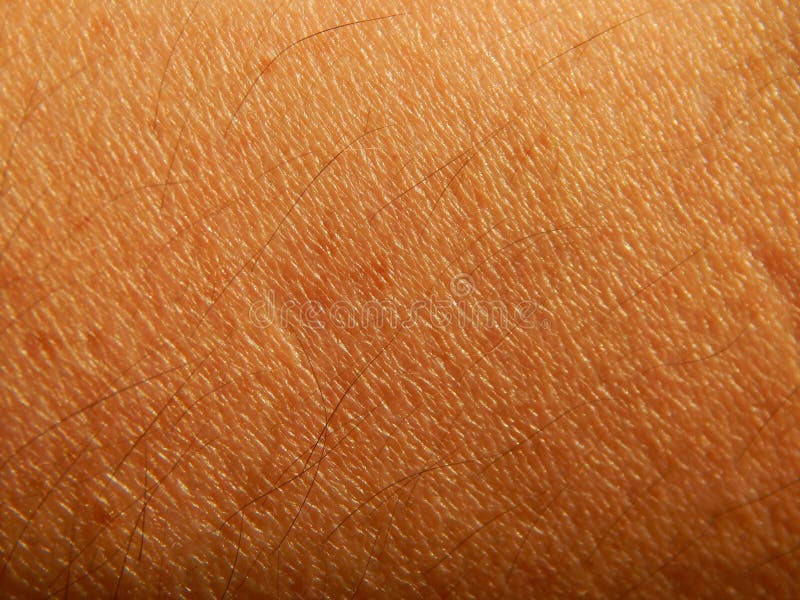 Human Skin Texture in Various Parts Stock Photo - Image of abstract ...