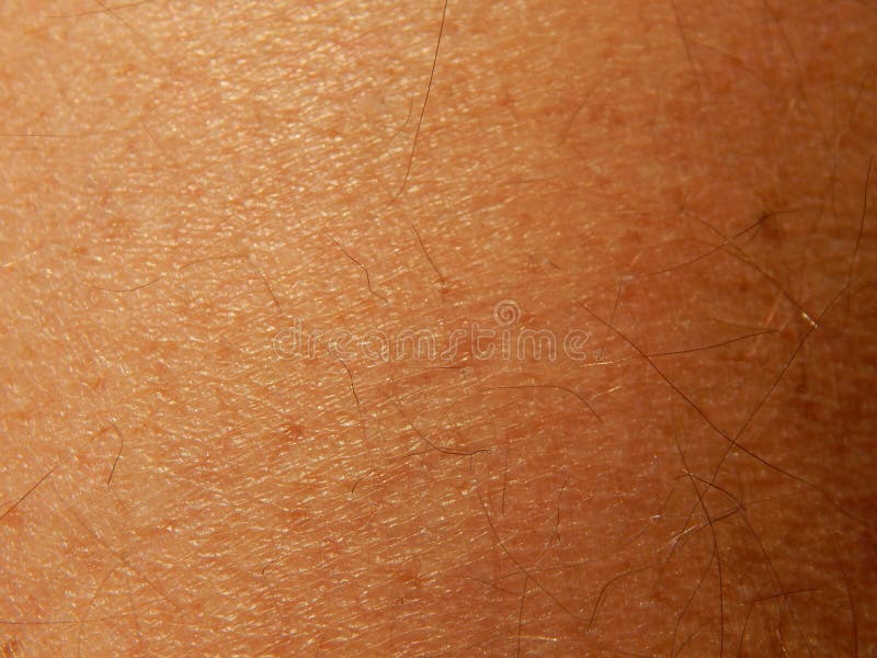 Human Skin Texture in Various Parts Stock Image - Image of people ...