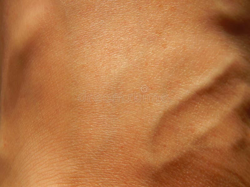 Human Skin Texture in Various Parts Stock Image - Image of people ...