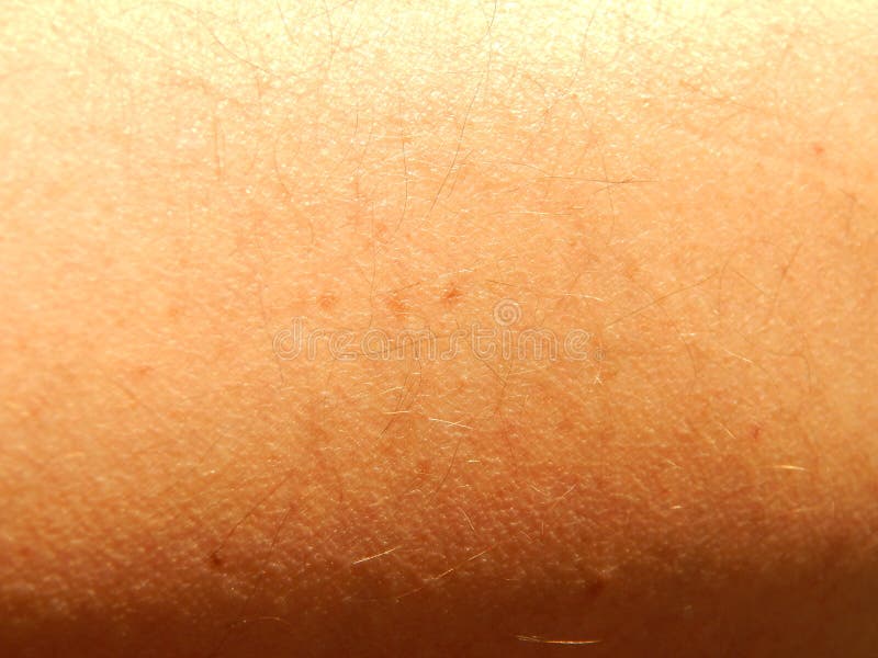 Human Body Skin Textures