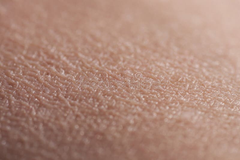 Human skin stock image. Image of background, textured - 17108889