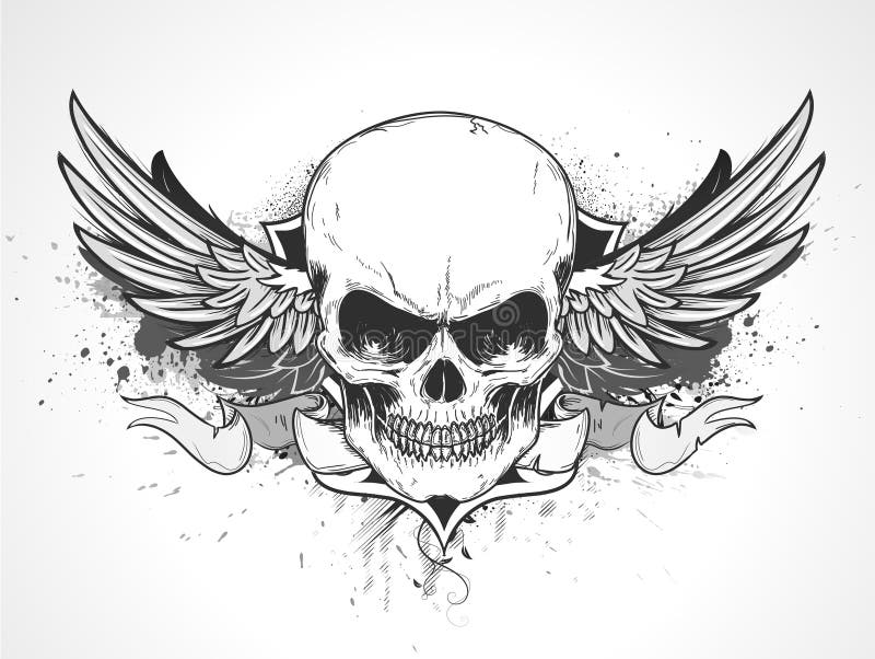 Human Skull - Three-Quarter-View - Pencil Drawing Style Stock ...