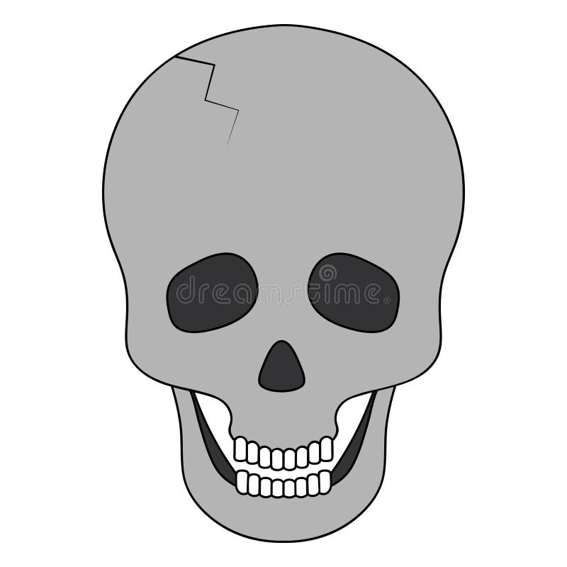 Human Skull. Bone Frame of the Head. Vector Illustration. an Integral ...
