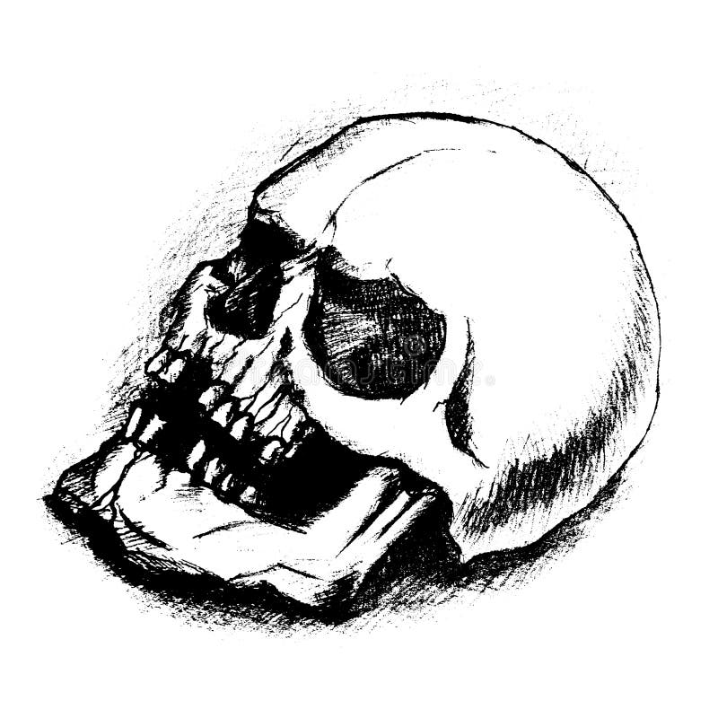 Human Skull Bones Skeleton Dead Stock Vector - Illustration of medical ...