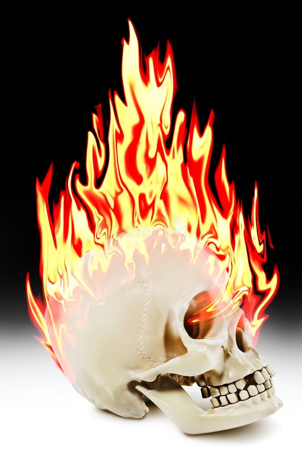 The Human Skull Burning in the Fire Stock Photo - Image of fire, humane ...