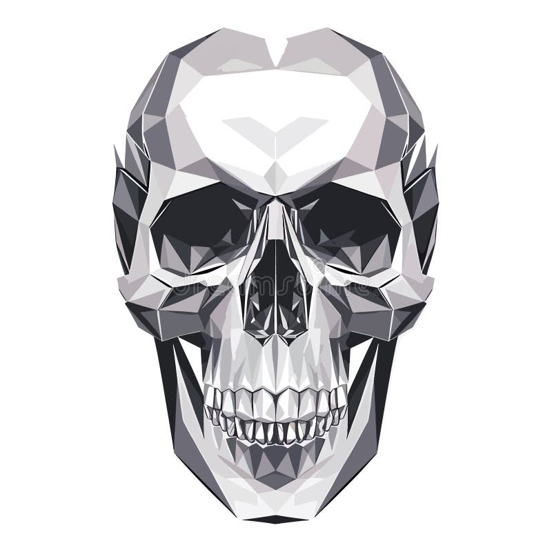 Human Skull Vector Aet Illustration Black and White Stock Vector ...