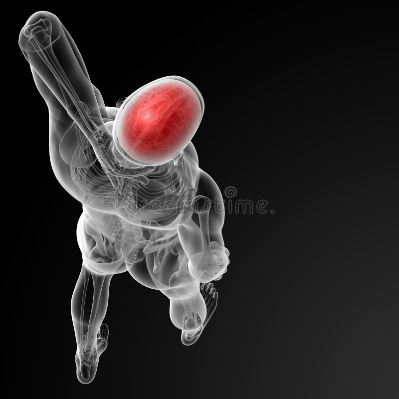 Half Human Half Skull Stock Illustrations – 95 Half Human Half Skull ...