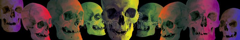 Human Skull at Different Angles and Different Colors on Black ...