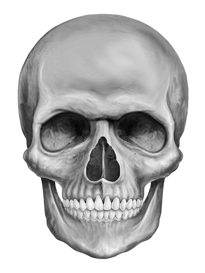 Blurred Skull Stock Illustrations – 134 Blurred Skull Stock ...