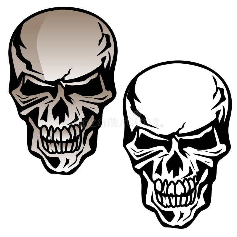Human Skull Isolated Vector Illustration Stock Vector - Illustration of ...