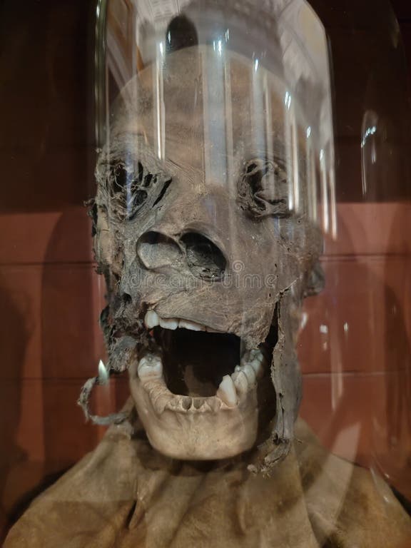 Human Skull in a Jar Dessicated Corpse Editorial Photo - Image of ...