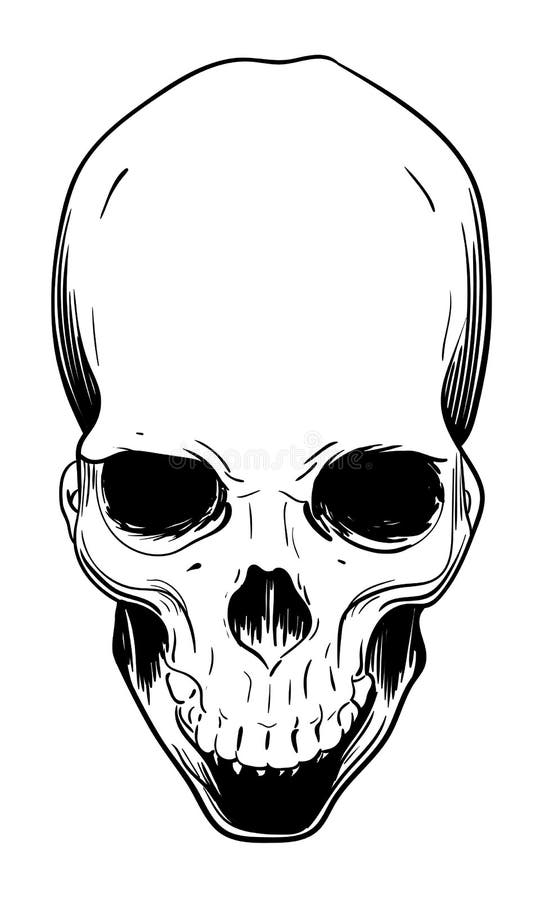 Human Skull Looking Down Black and White Illustration Stock ...