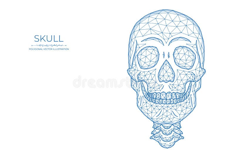 Human skull low poly art. stock vector. Illustration of cranium - 226906278