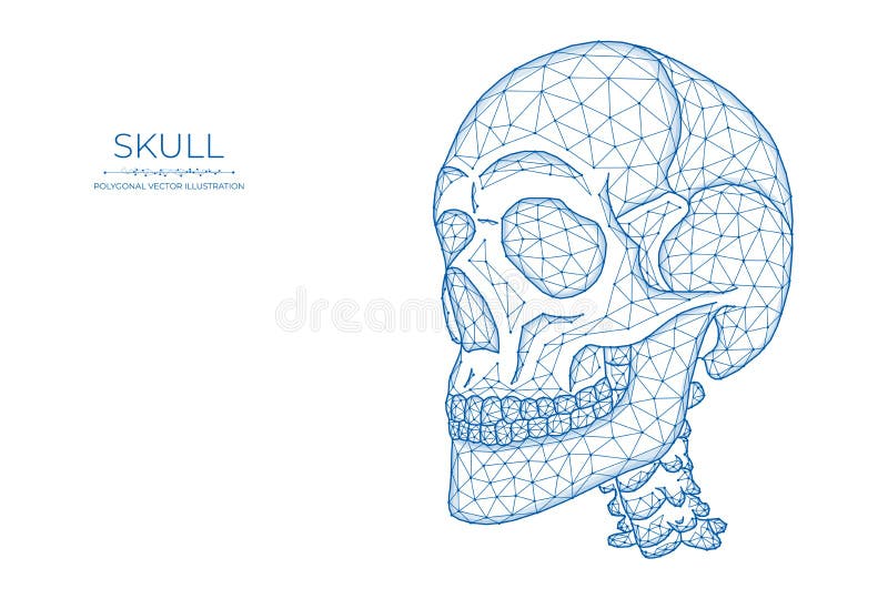 Human skull low poly art. stock vector. Illustration of graphic - 226906288