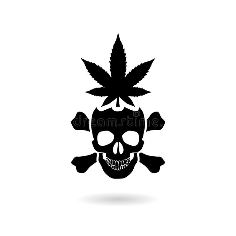 Human Skull with Marijuana Leaf Icon with Shadow Stock Vector ...