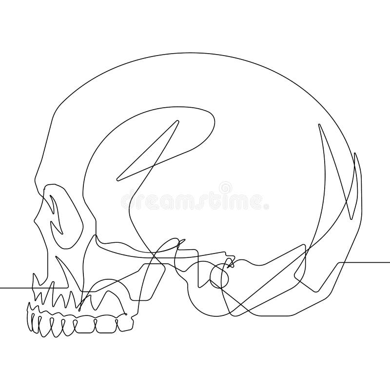 One Line Drawing Skull Stock Illustrations – 550 One Line Drawing Skull ...