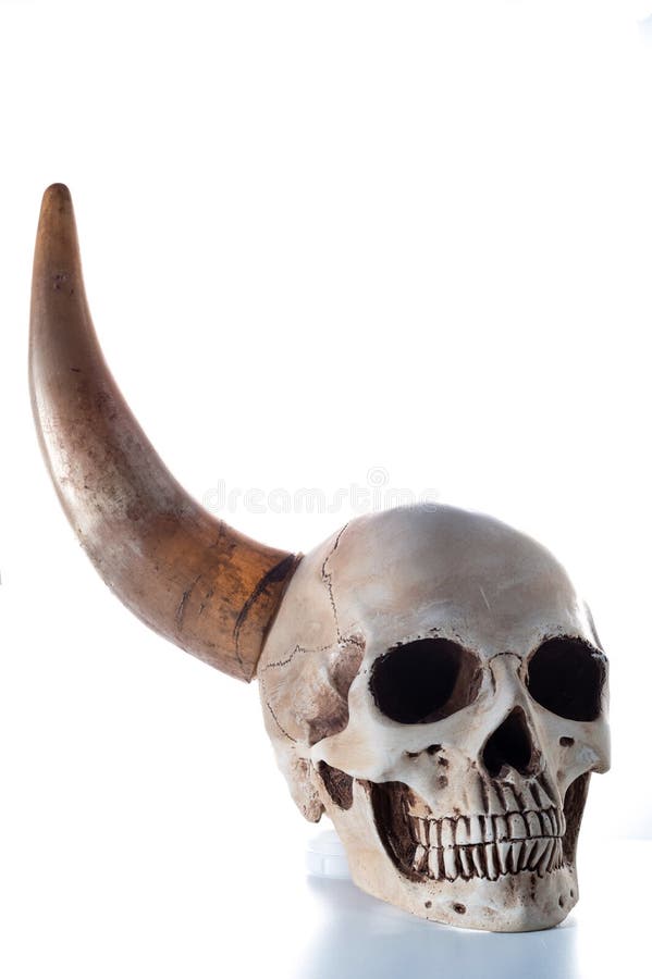 Human Skull and One Ram Horn. Skull with a Horn Stock Photo - Image of ...