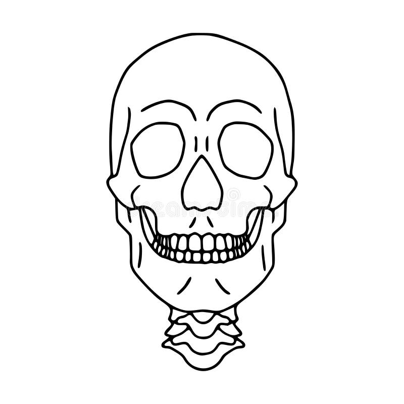 Human Skull Outline Icon, Front View Stock Vector - Illustration of ...
