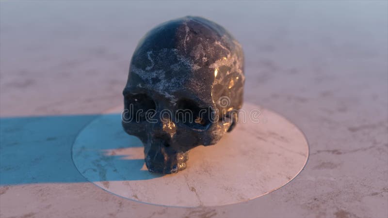Human Skull Rotates and Flips on a Platform. Black White Marble Stock ...