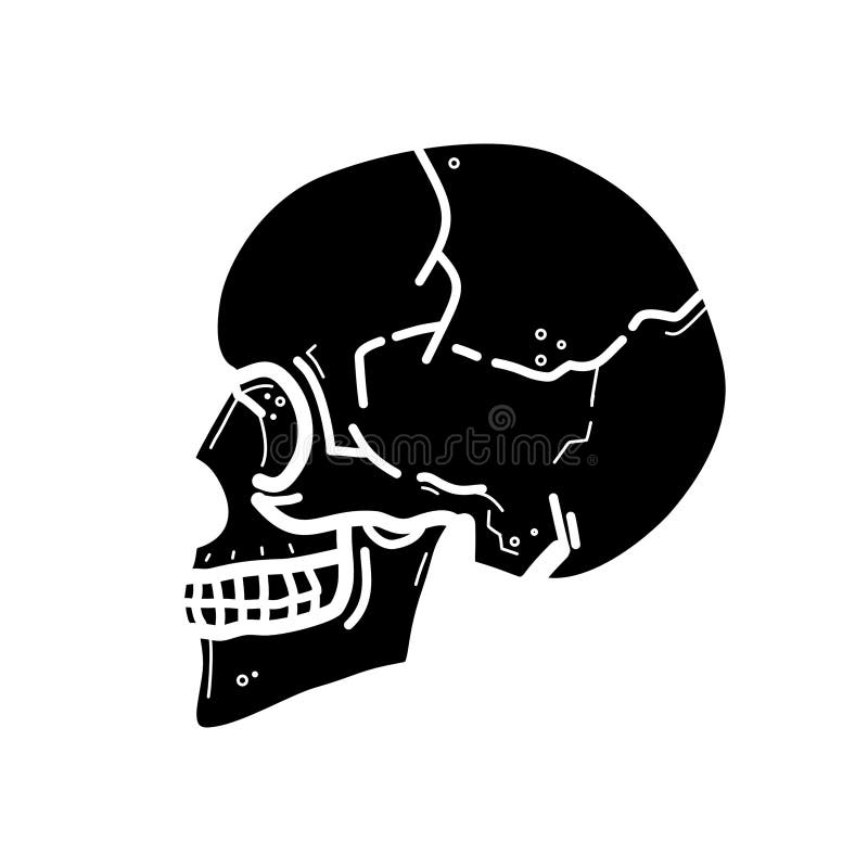 Human Skull, Side View - Vector Icon Stock Vector - Illustration of ...
