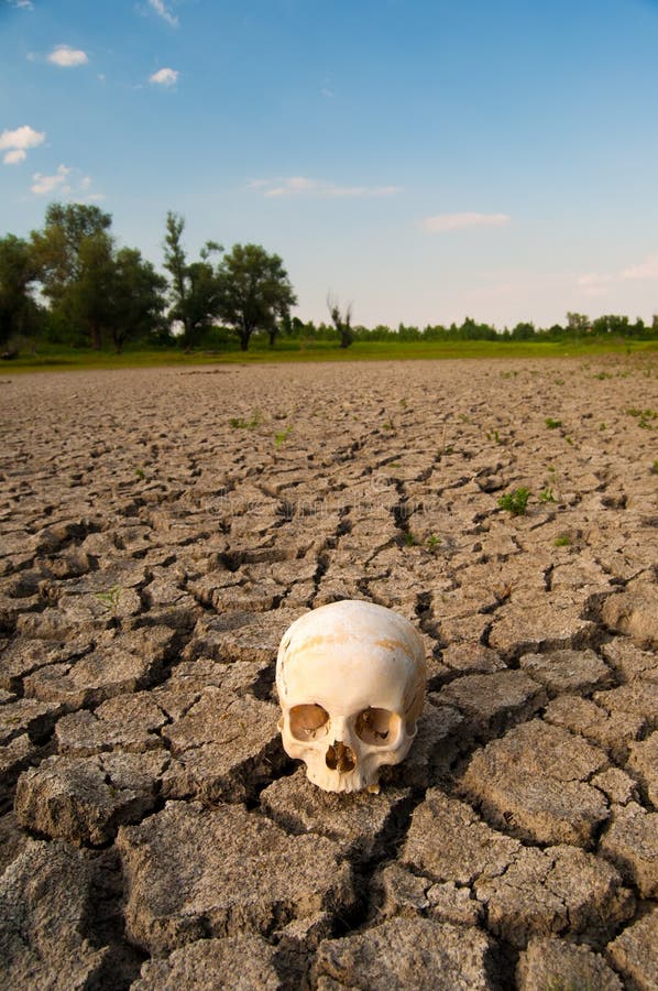 Human Skull on the Soil of Dried Out Lake Stock Photo - Image of global ...