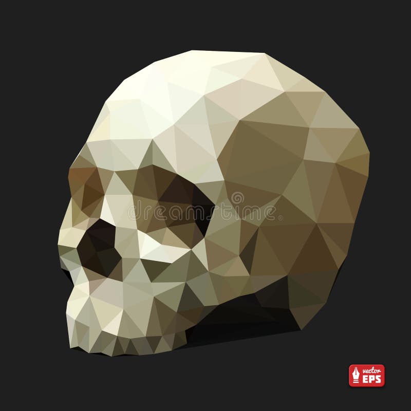Human Skull in a Triangular Style. Stock Vector - Illustration of bone ...