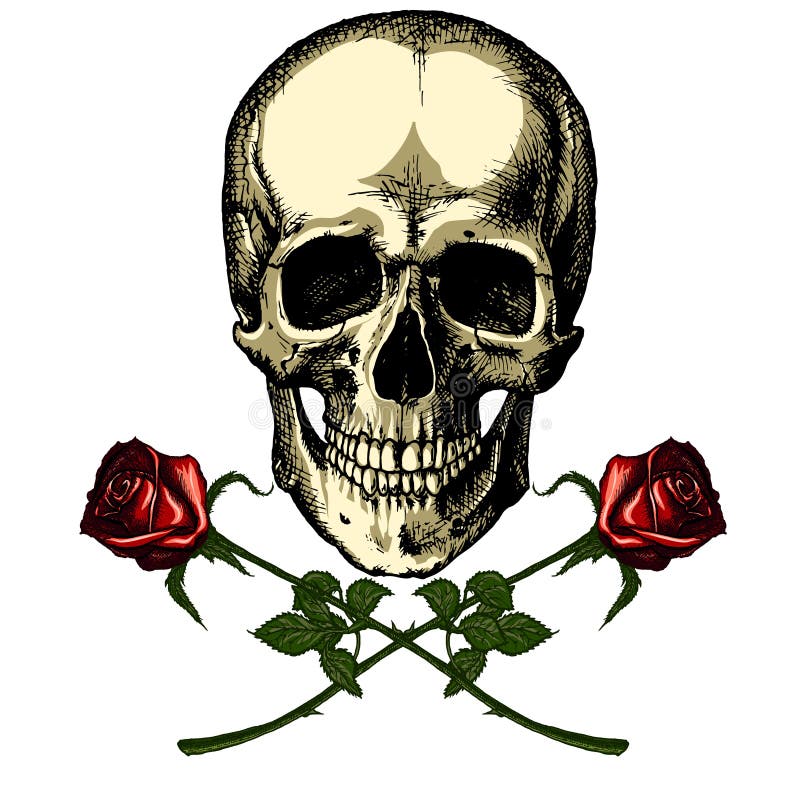Skull Head Roses Stock Illustrations – 1,036 Skull Head Roses Stock ...