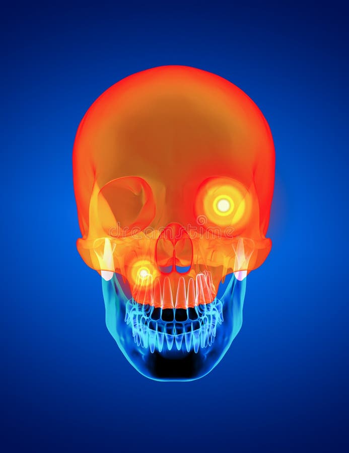 Half Human Half Skull Stock Illustrations – 235 Half Human Half Skull ...